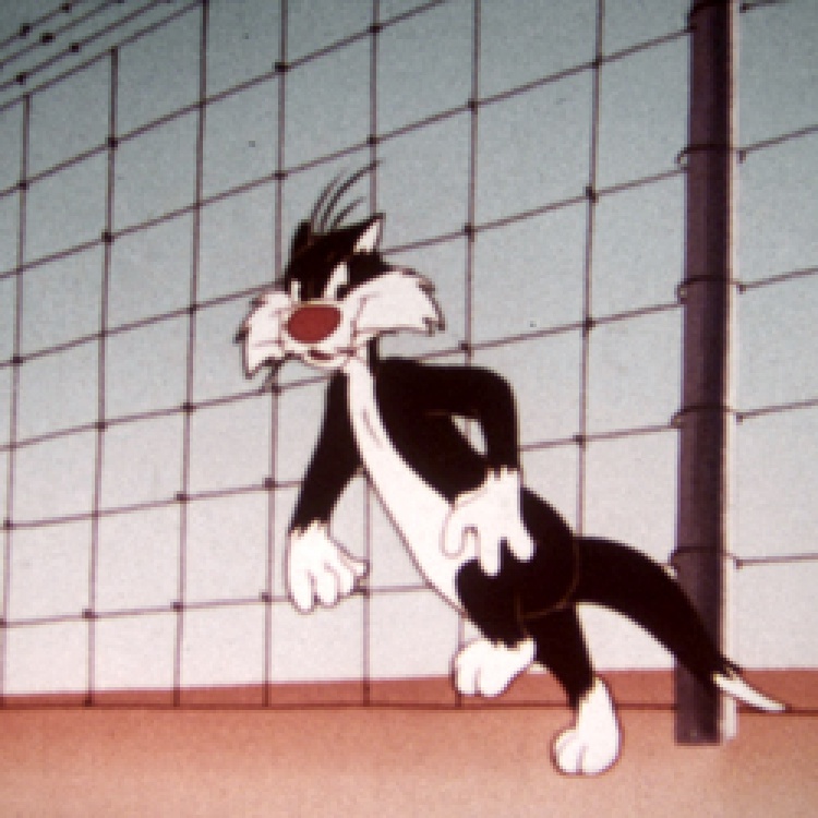 Looney Tunes "Tree Cornered Tweety" (Film 16 mm) | Bd-cine.com
