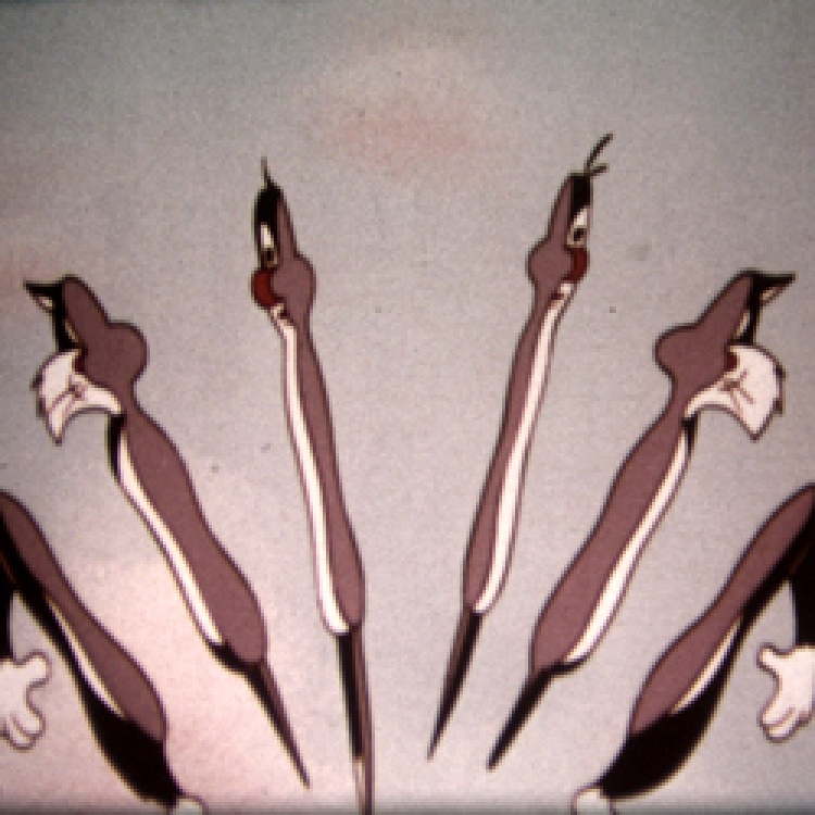 Looney Tunes "Tree Cornered Tweety" (Film 16 mm) | Bd-cine.com